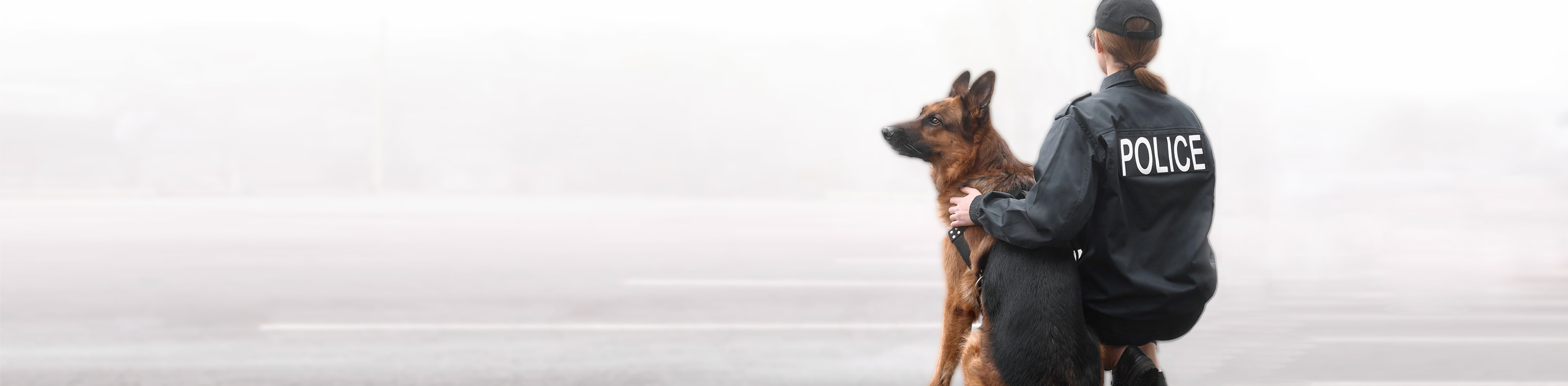 Law Enforcement & Investigation | Justice Institute of British Columbia